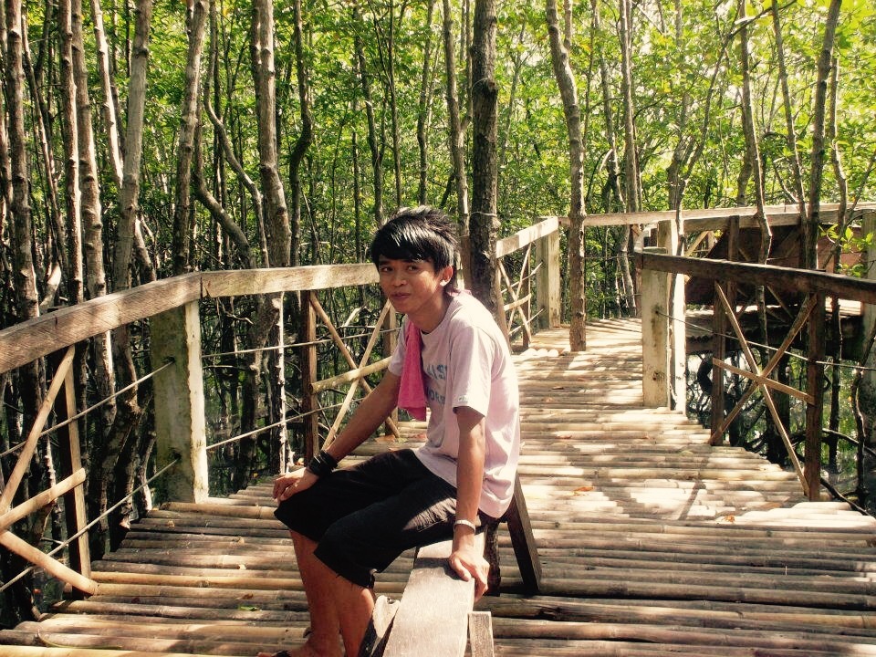THE LOON MACAQUES MANGROVE MONKEYS IN BOHOL. — Steemit