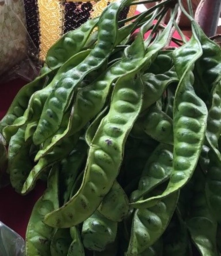 Sato, one of my most favorite vegetables — Steemit