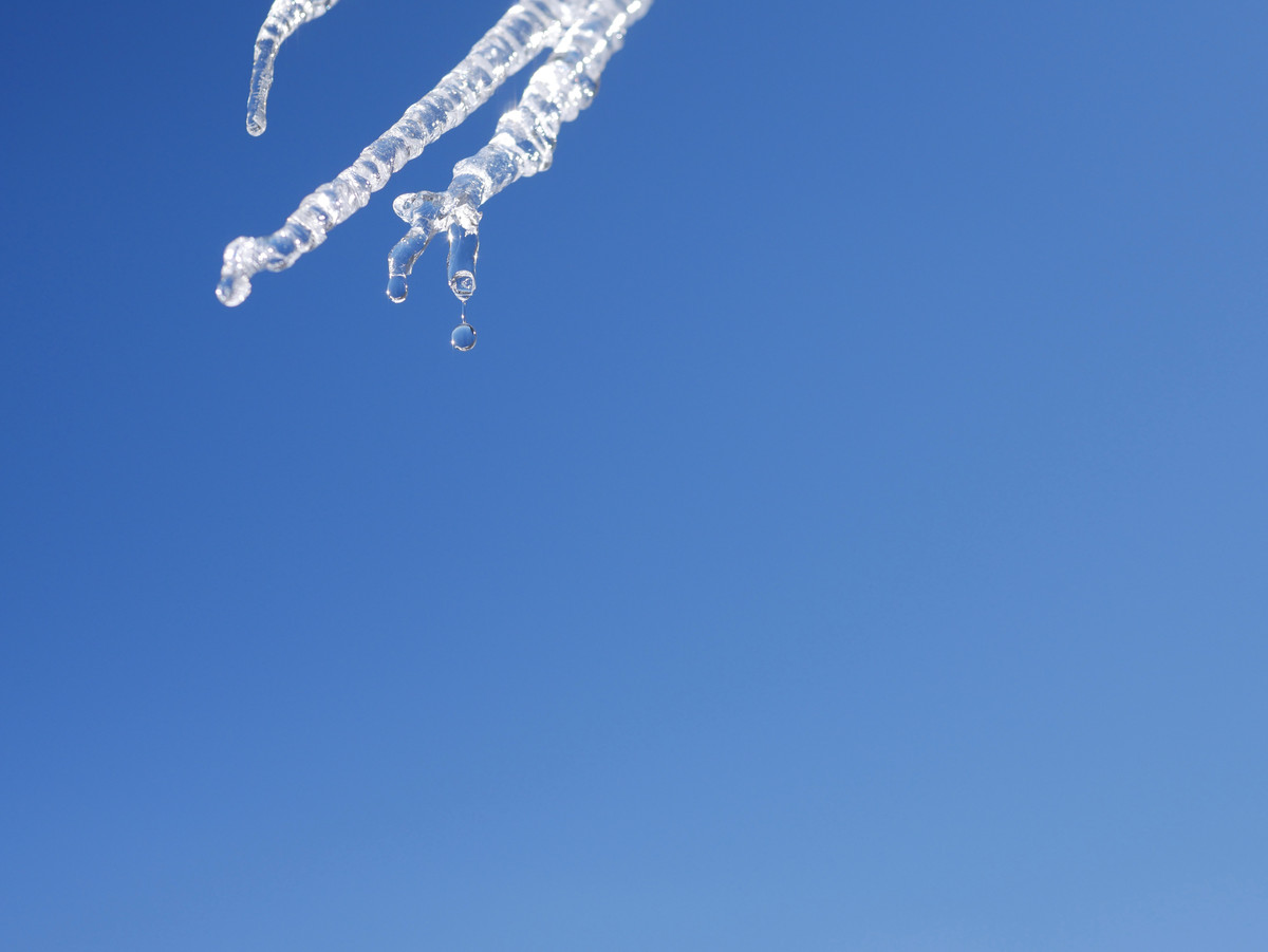 How to Freeze Motion — Steemit