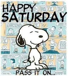 Happy Hippie Tuesday