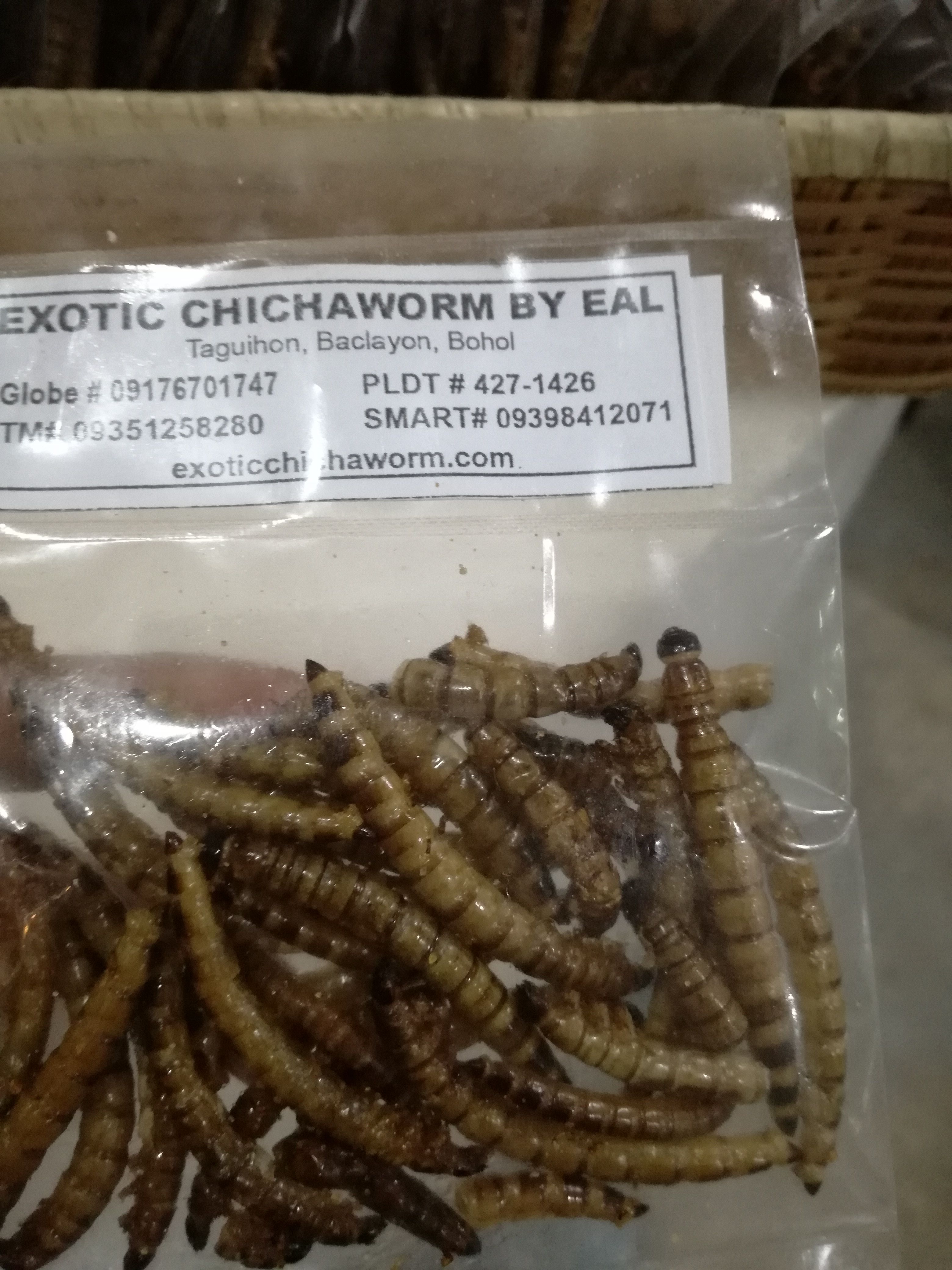 CHICHAWORM :Exotic food from Bohol — Steemit