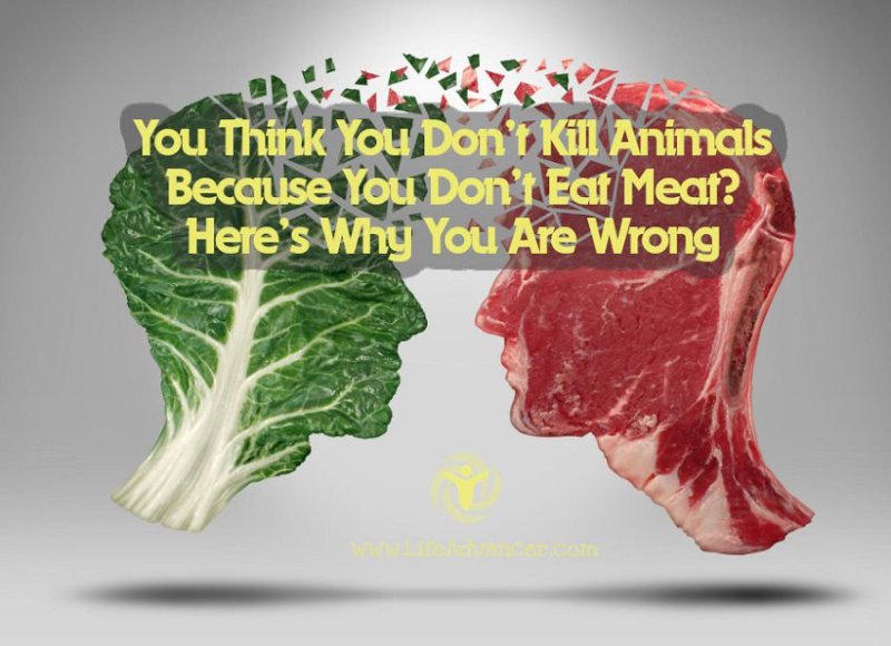 Dont Eat Meat