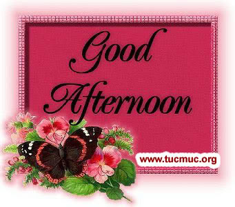 Good Noon