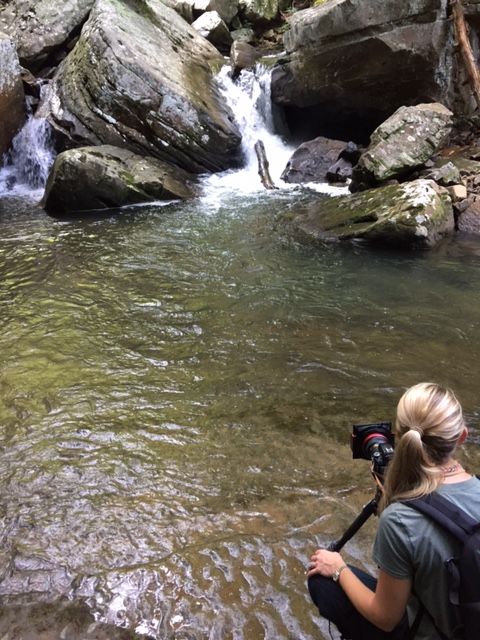 Hidden Waterfalls near Falling Water Falls, Signal Mountain, TN — Steemit