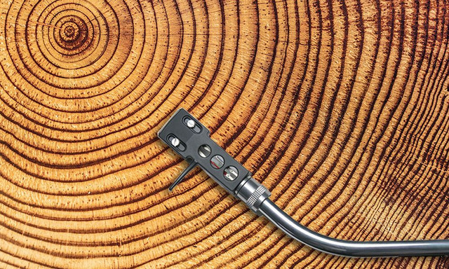 The Sound of Time: Tree Rings Making Music — Steemit