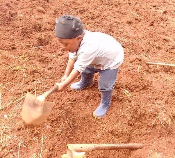 The Dry Season Farm Activities. — Steemit