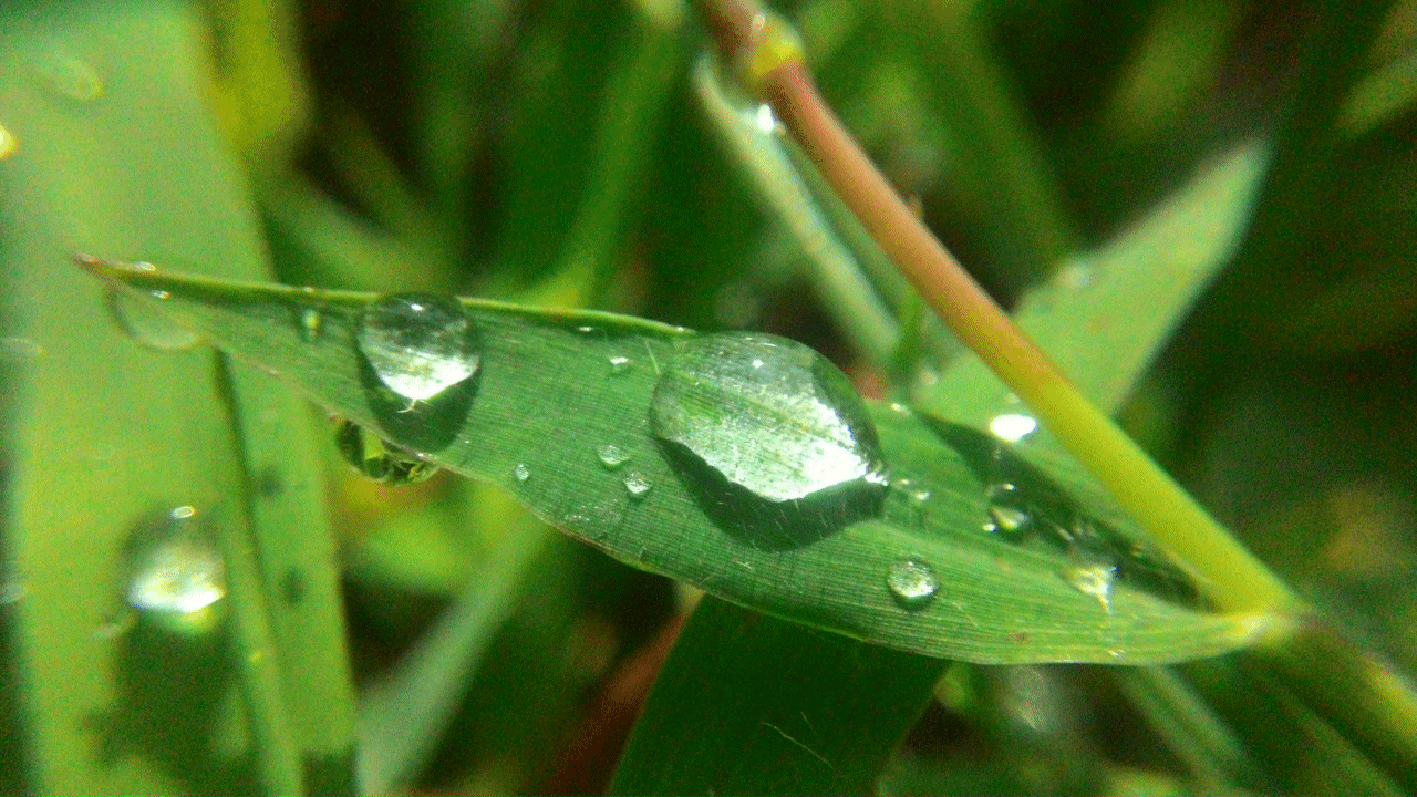 Fun - Lol @ Animated Gifs here | Page 1047 | Jedi Council Forums